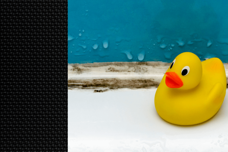 How To Prevent Mould & Musty Smells in your House | Crimsafe