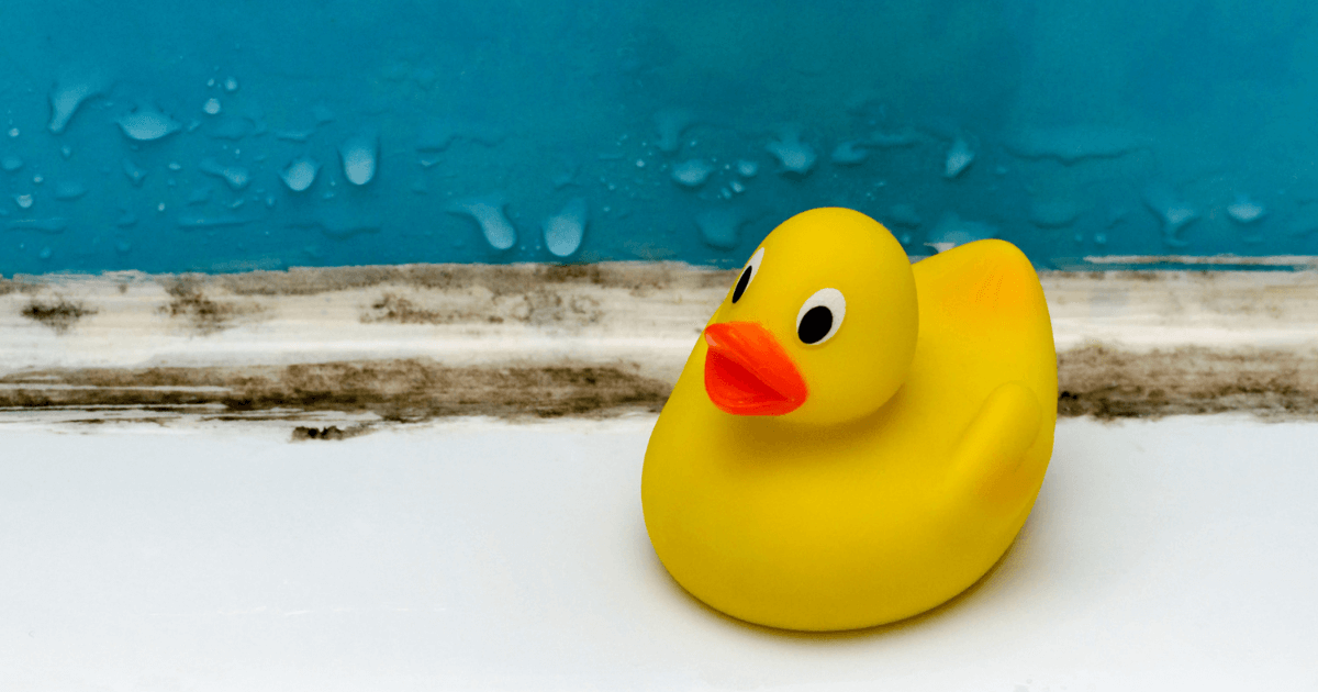 How To Prevent Mould & Musty Smells in your House | Crimsafe