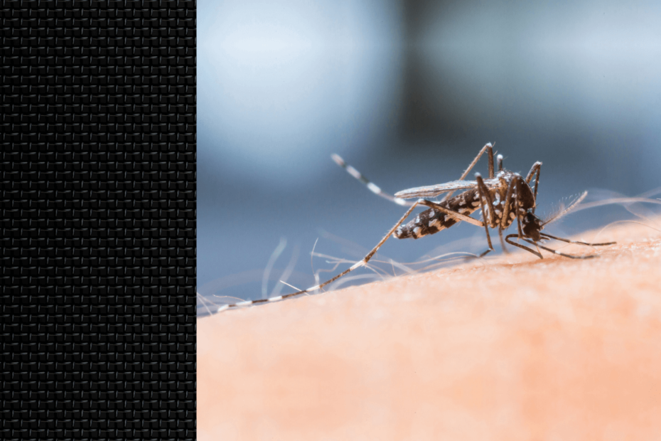 How To Insect Proof Your Home With Crimsafe